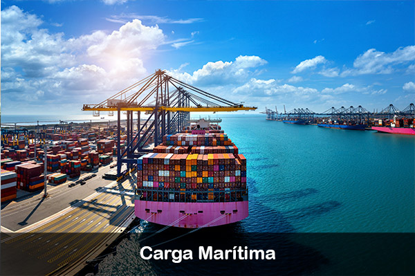 Servicios – GL CARGO GROUP